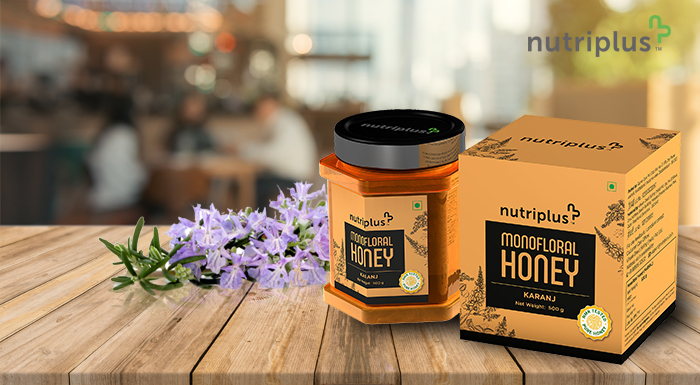 Nutriplus Monofloral Honey-Karanj 500g x 3